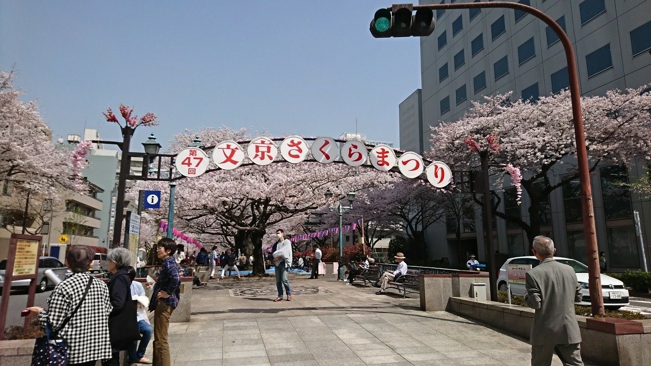 2018年お花見情報 | Infoslip